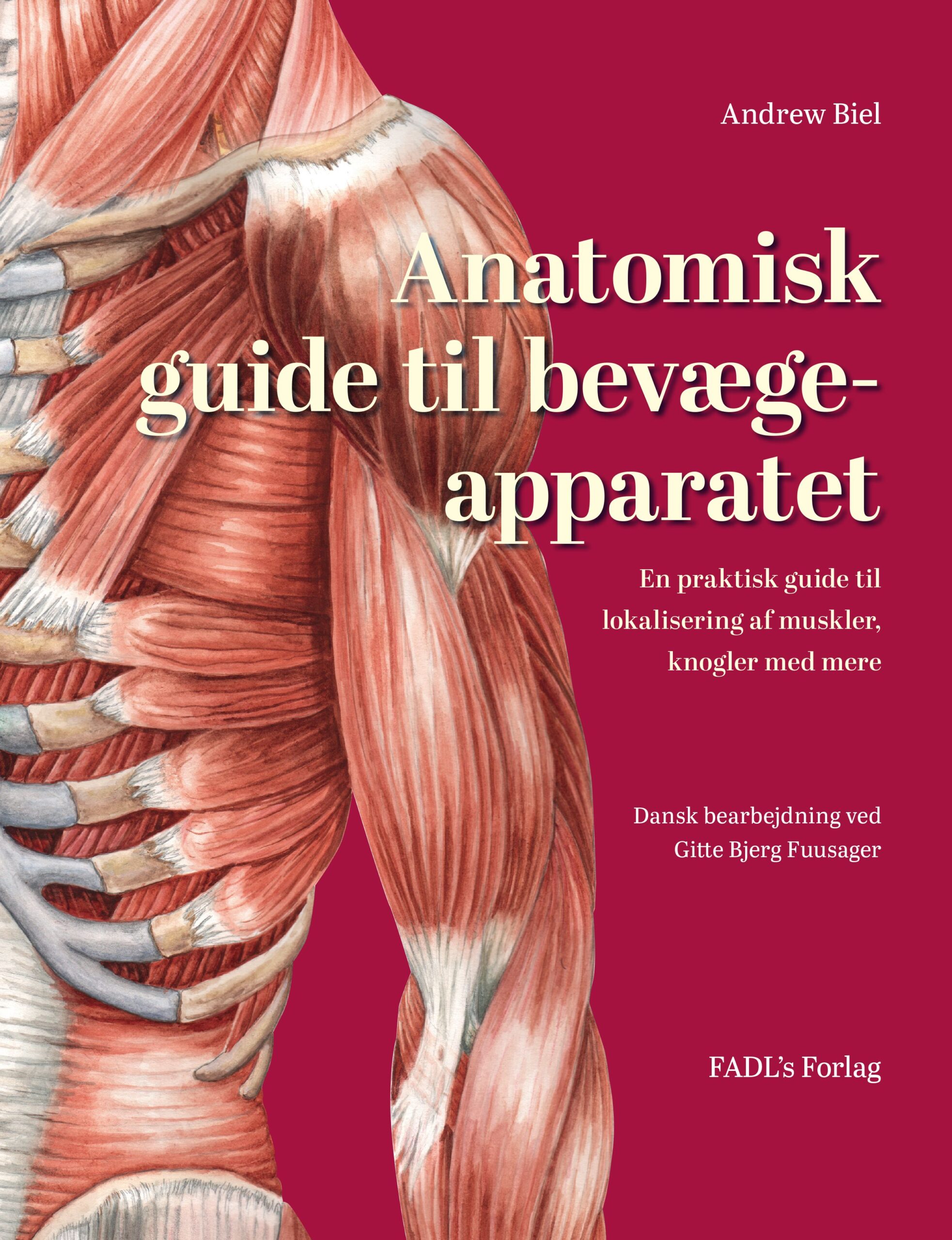 Anatomisk guide til bevægeapparatet - FADL's Forlag